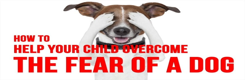 How To Help Child Overcome Fear Of Dogs