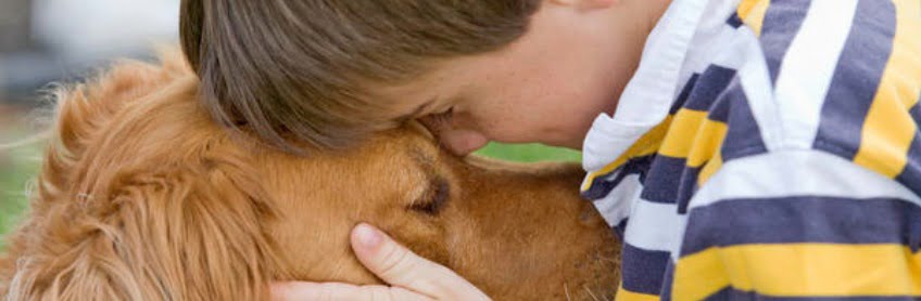 Service Dogs for Children with Autism - Labradoodle By Cucciolini