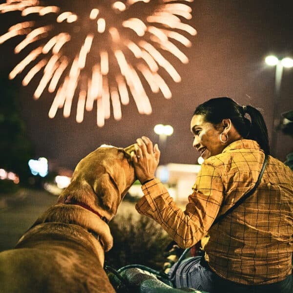 How to Keep Your Dog Calm During Fireworks